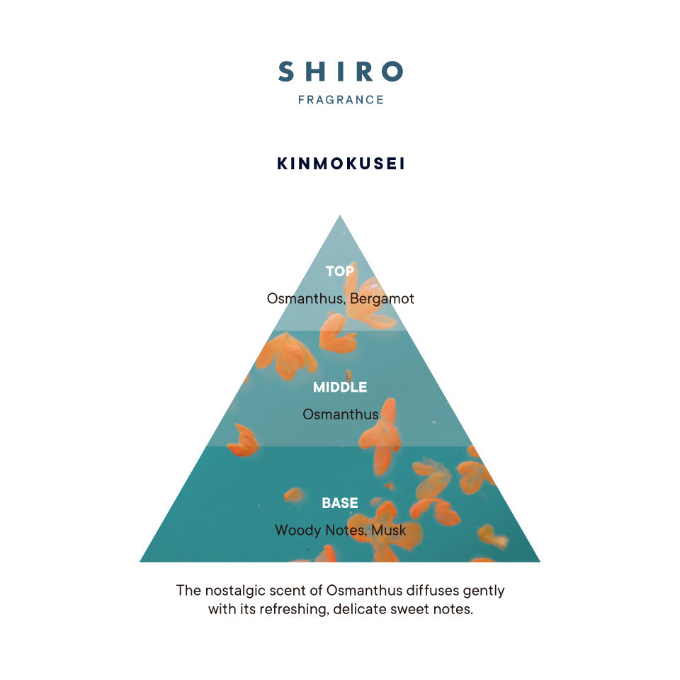 KINMOKUSEI BODY MIST – SHIRO UK Online Store