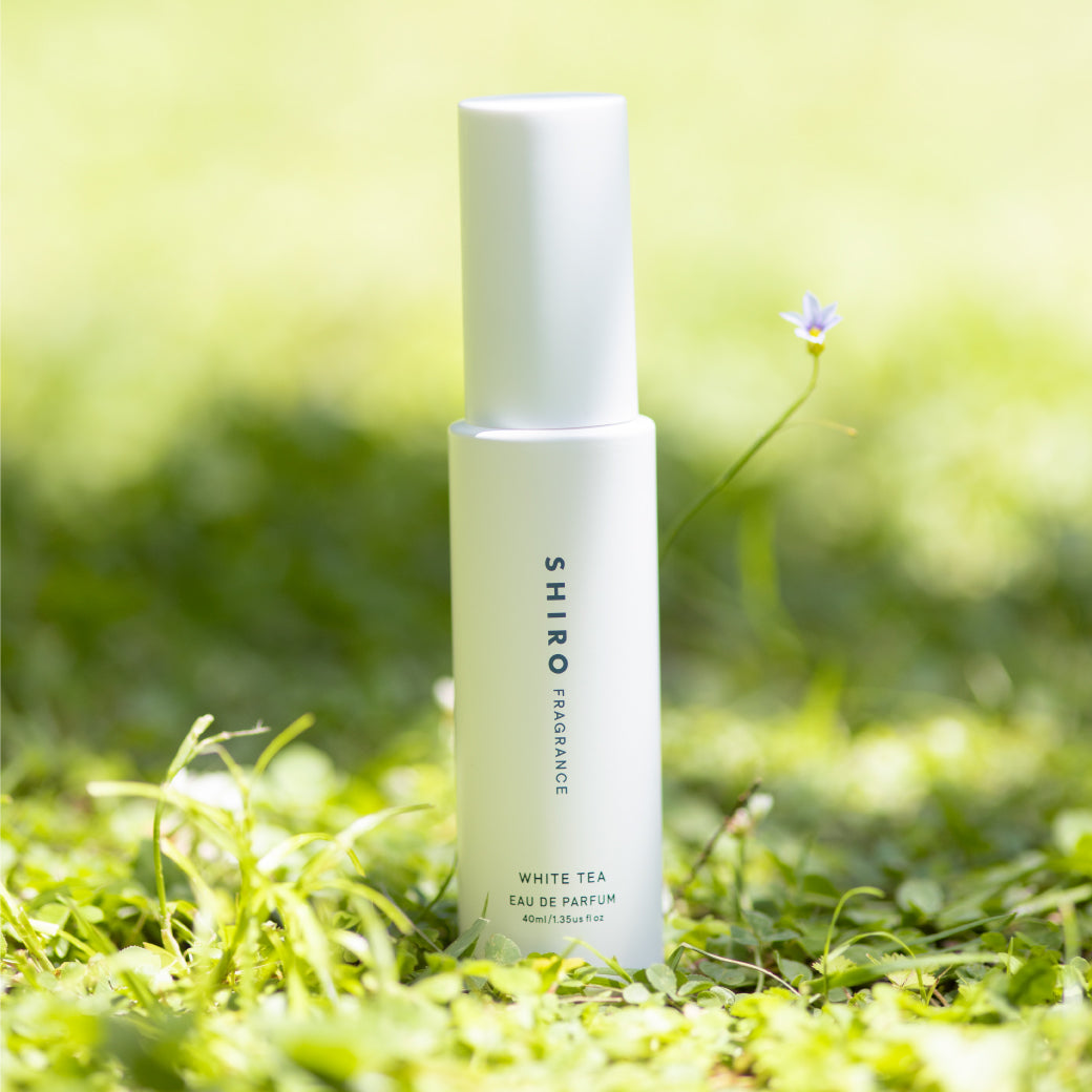 WHITE TEA EAU DE PARFUM – SHIRO UK Online Store